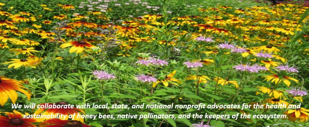 Action - Lead For Pollinators