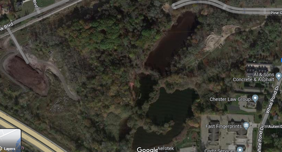 White Pond Wetlands (Akron, Ohio) - Lead For Pollinators